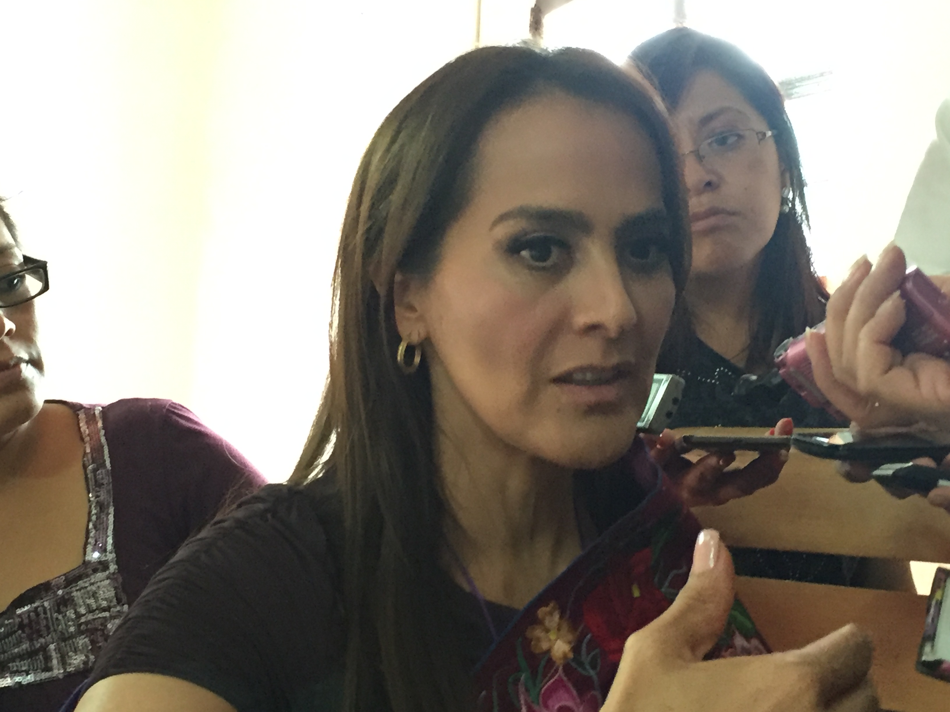 El Partido Verde competirá sólo en Puebla #Elecciones2018 – Mundo de ...